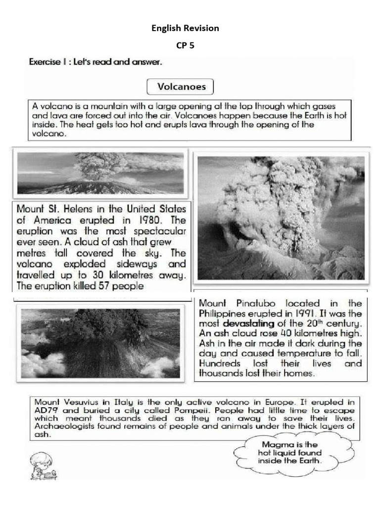 English Revision Worksheet CP 5 | PDF | Octopus | Zoology