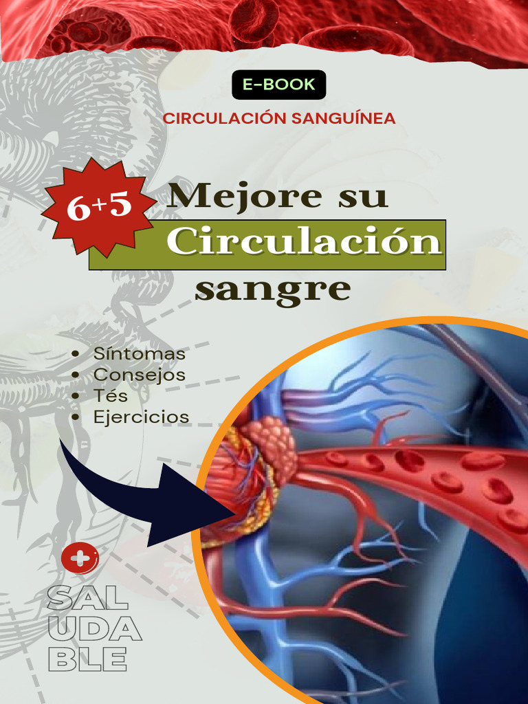 Circulación Sanguínea | PDF | Té | Té verde