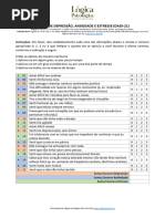 Teste: SRQ 20 - Self Report Questionnaire | PDF