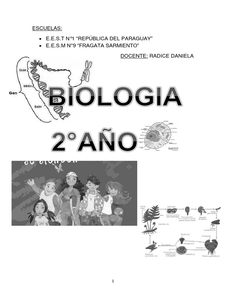 E.E.S.T N-1 y E.E.S.M N-9 - BIOLOG-A - Prof. RADICE - Daniela ...