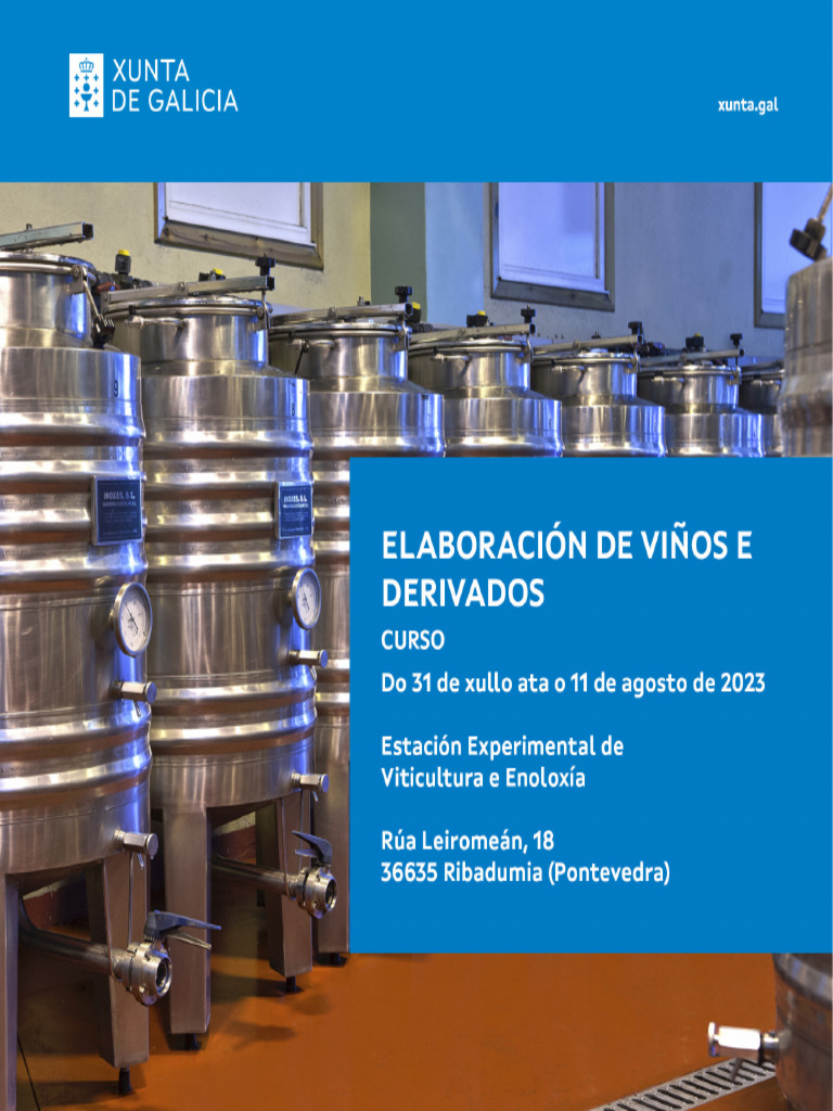Elaboracion de Vinos e Derivados Diptico | PDF