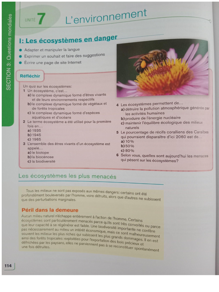 French IB Part 3/3 | PDF