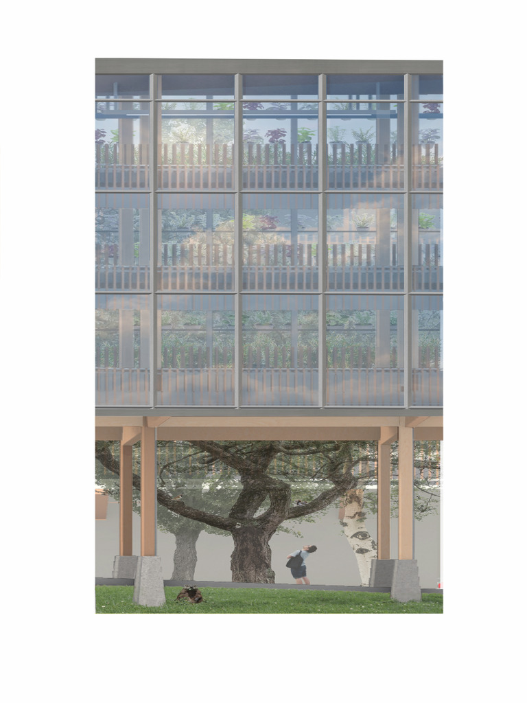 The Front View | PDF