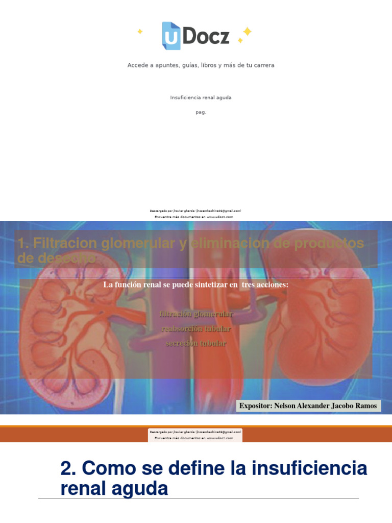 Insuficiencia Renal Aguda | PDF