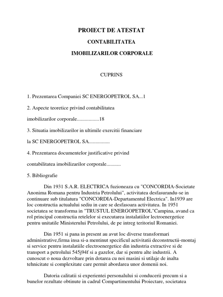 Proiect de Atestat | PDF