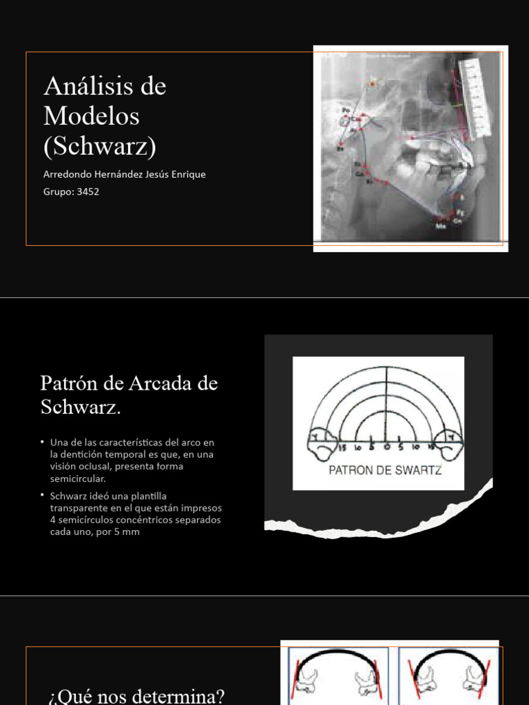 Análisis de Modelos (Schwarz) | PDF
