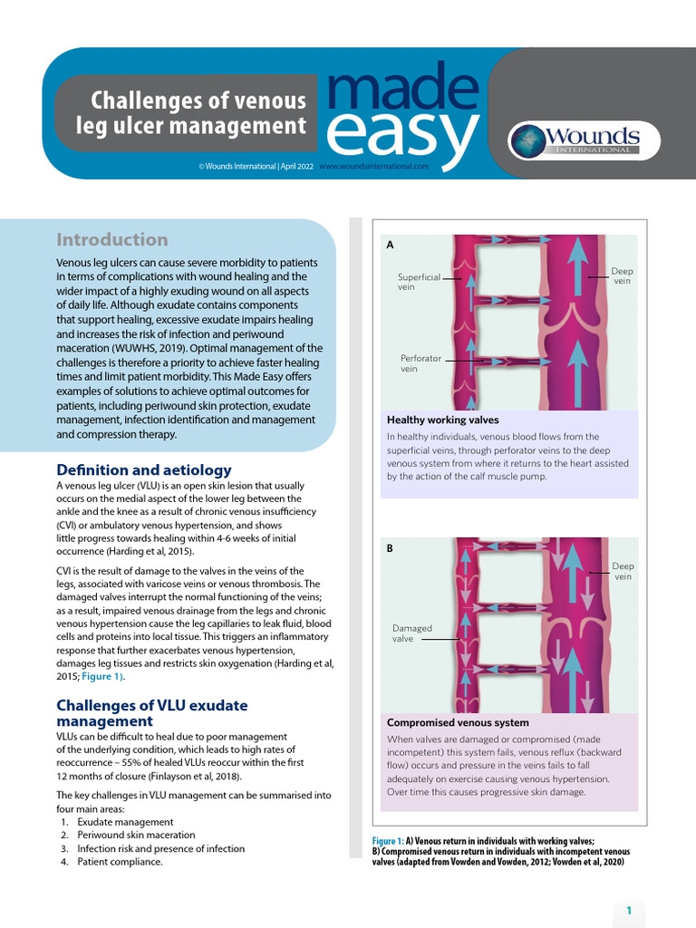 Challenges of Venous Leg Ulcer Management: Definition and Aetiology ...