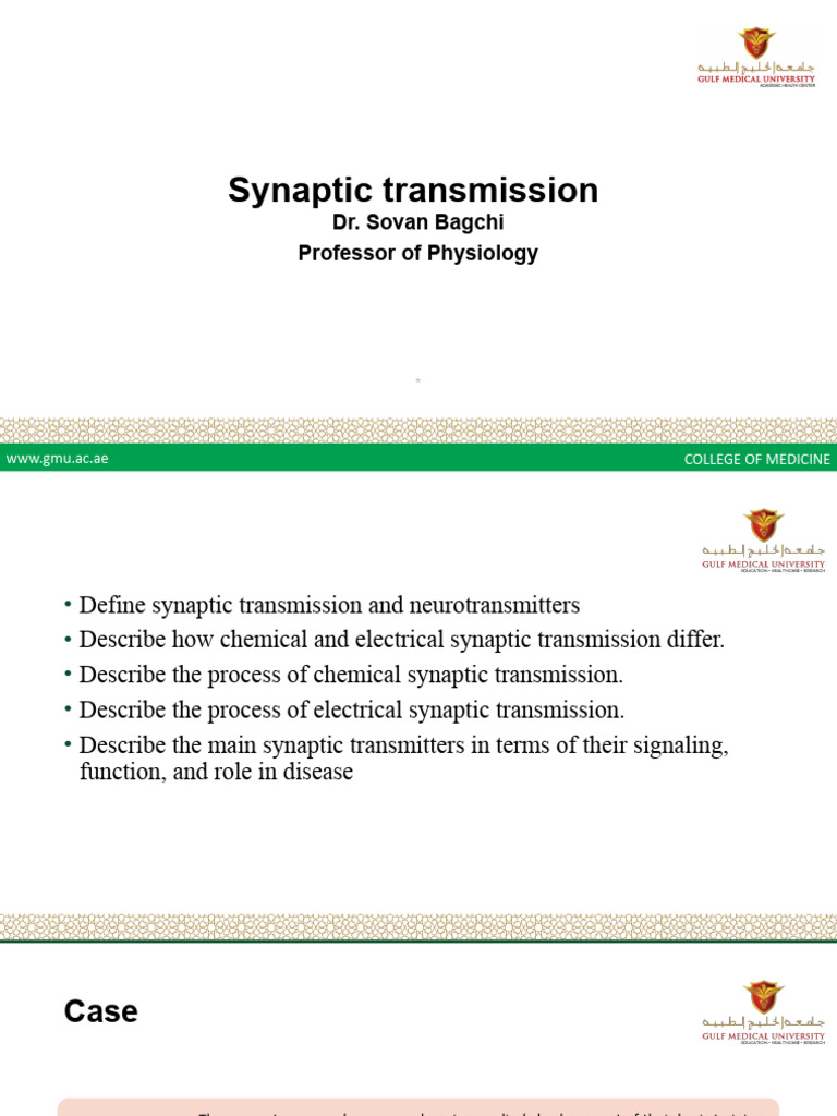 Understanding Synaptic Transmission | PDF | Chemical Synapse ...