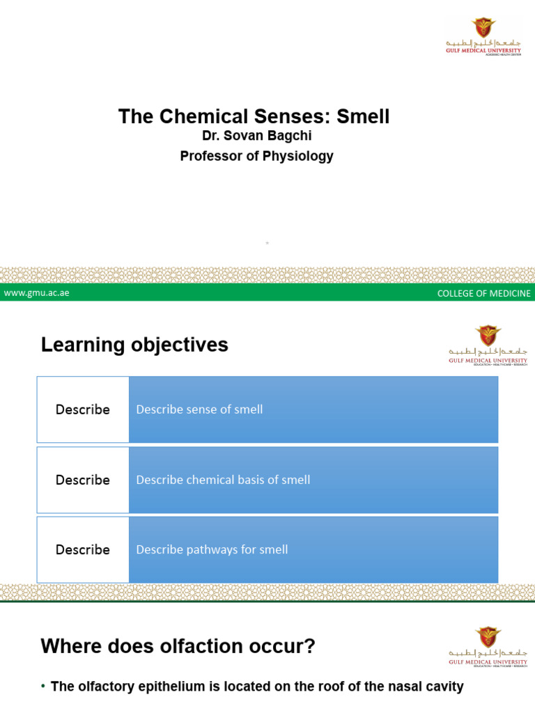 The Chemical Senses-Smell (1) | PDF | Olfactory System | Senses