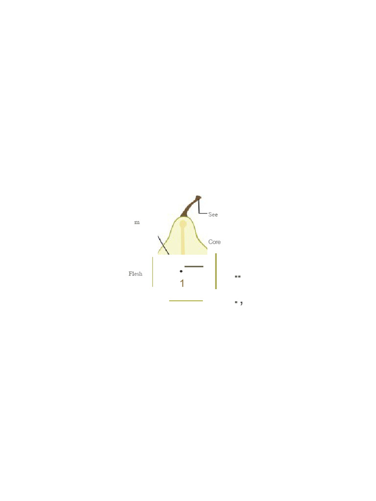 Pear's Morphology - SVG | PDF