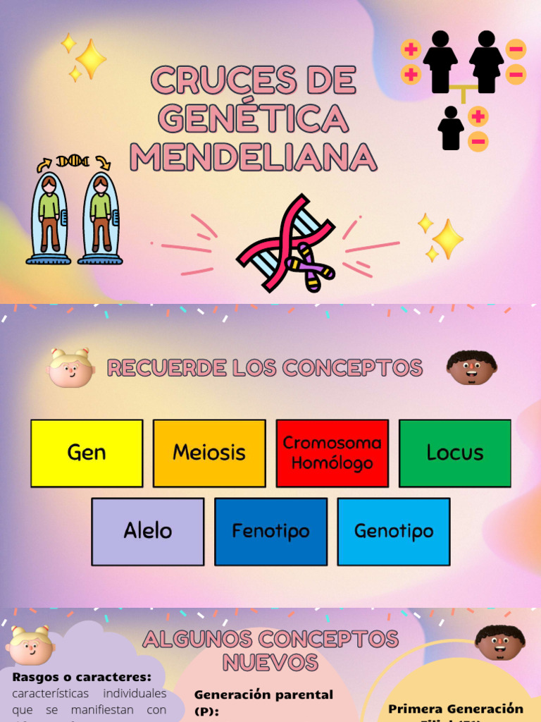 2 Cruces de Genética Mendeliana - Compressed | PDF | Dominancia (Genética) | Cigosidad