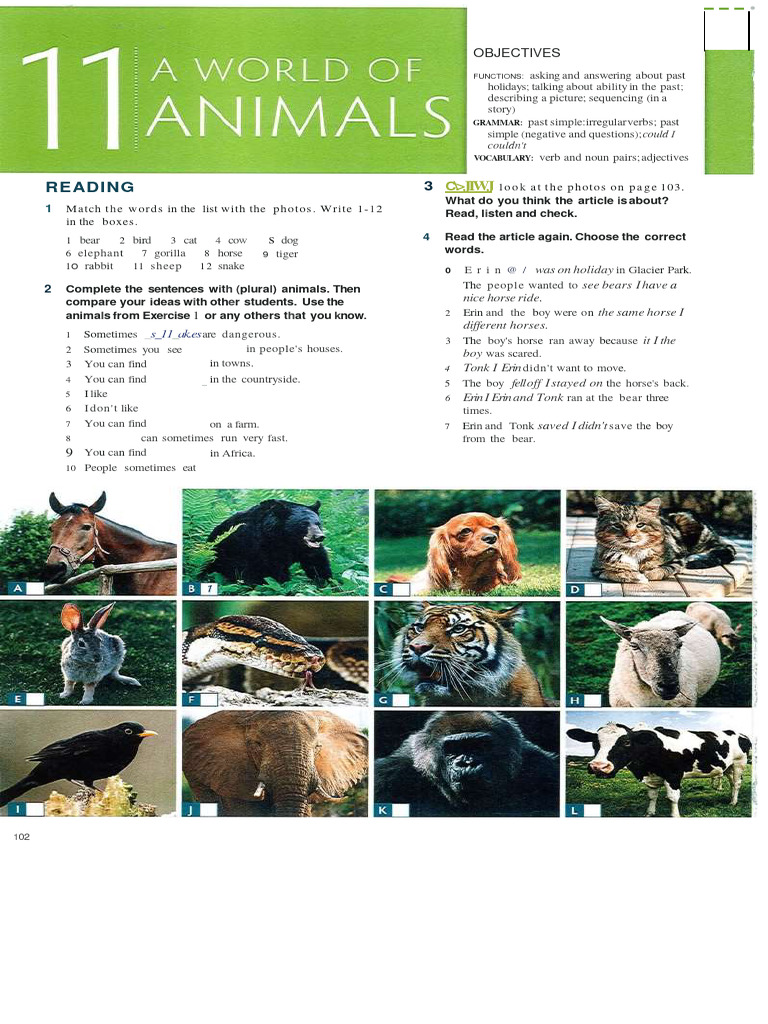 Think 11 (A World of Animals) - Unit 11 | PDF | Verb | Rhinoceros