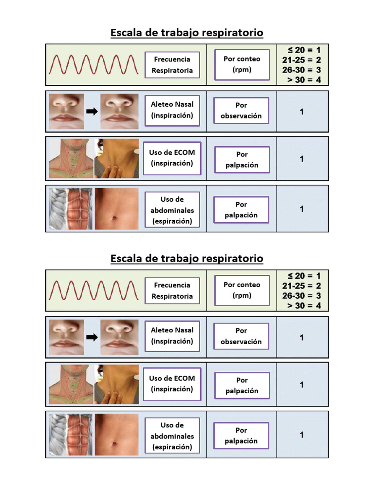 Escala de Trabajo Respiratorio Detallada | PDF