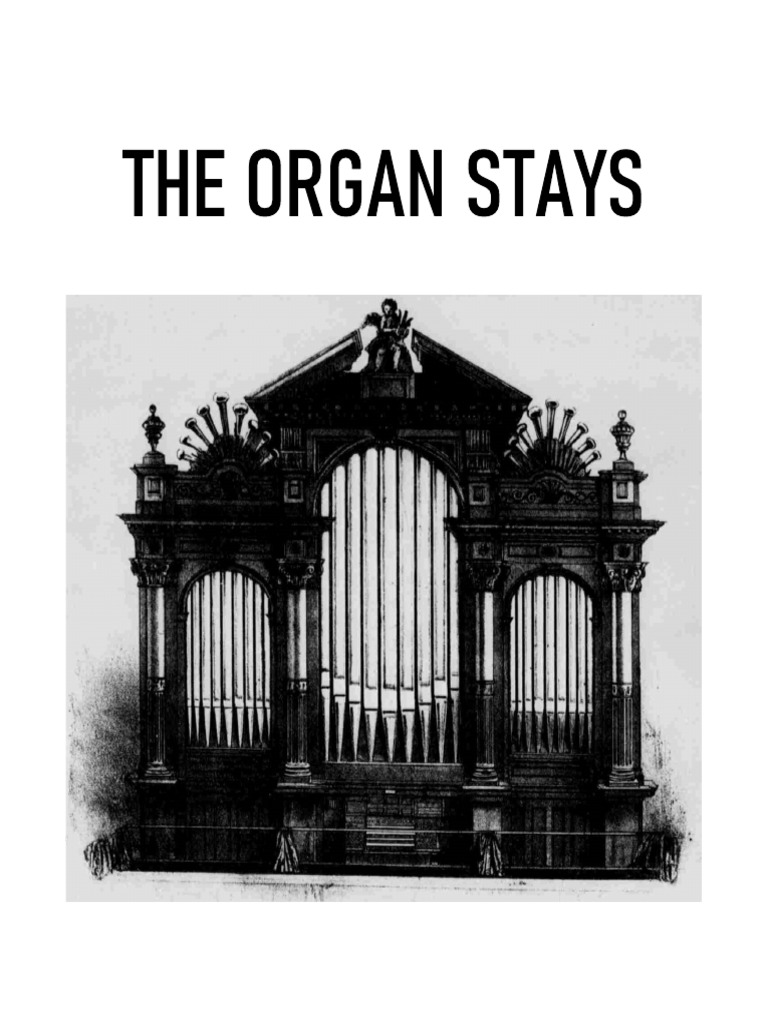 The Organ Stays v.1.2 | PDF