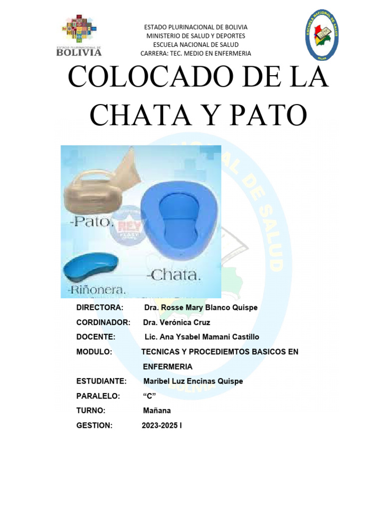 Informe Del Uso de La Chata y Pato | PDF | Lavado de manos | Enfermería