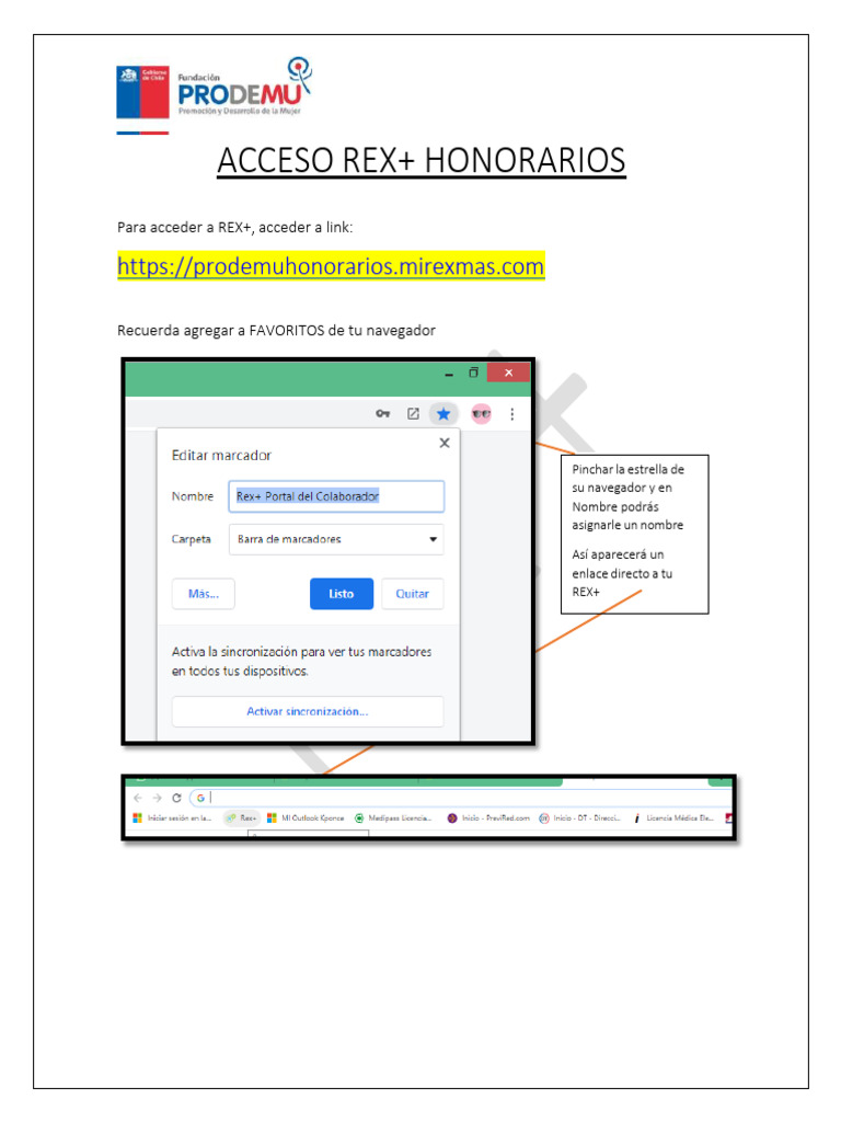 Instructivo Rex+Honorarios (1) | PDF | Contraseña | Control de acceso
