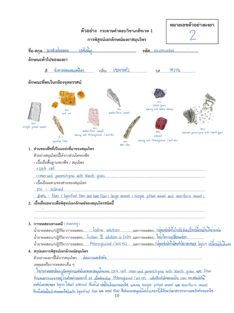 6410710062 sec02 รายงานปฏิบัติ1 | PDF
