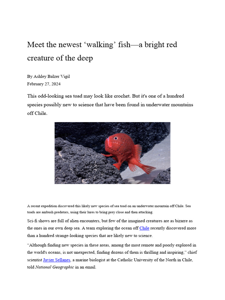 New 'Walking' Fish Discovered in Chile | PDF | Sea | Marine Biology