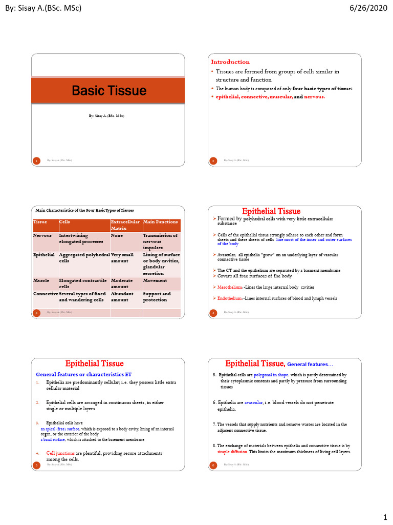 Overview of Basic Tissue Types | PDF | Epithelium | Tissue (Biology)