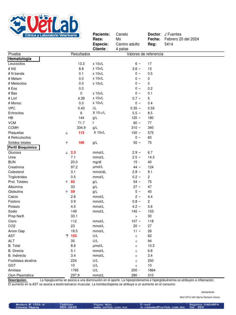 Canelo #5414 | PDF | Tejido (biología) | Vertebrados