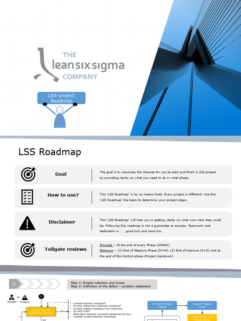 LSS Project Roadmap | PDF