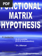 Functional Matrix Theory | PDF | Skull | Bone