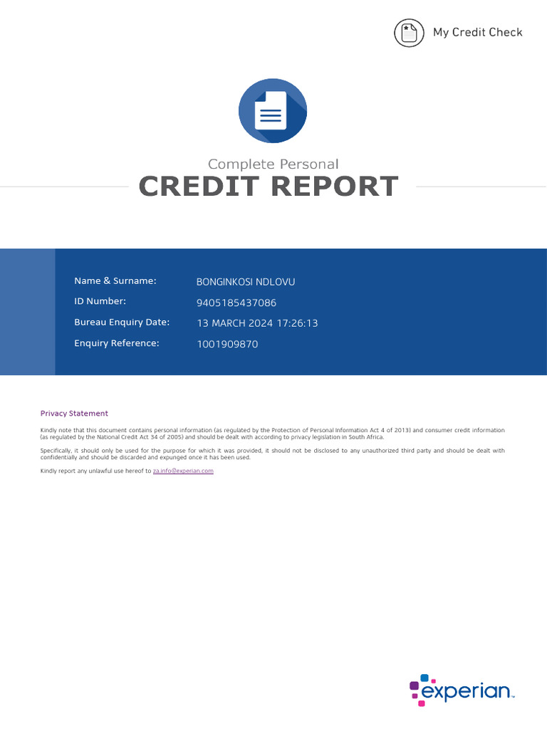 Credit Report Summary for Bonginkosi Ndlovu | PDF
