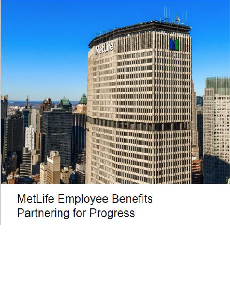 Metlife Benefits 2024 | PDF