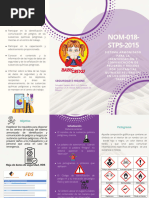 Nom-019-Stps-2011 Comisión de Seguridad e Higiene | PDF