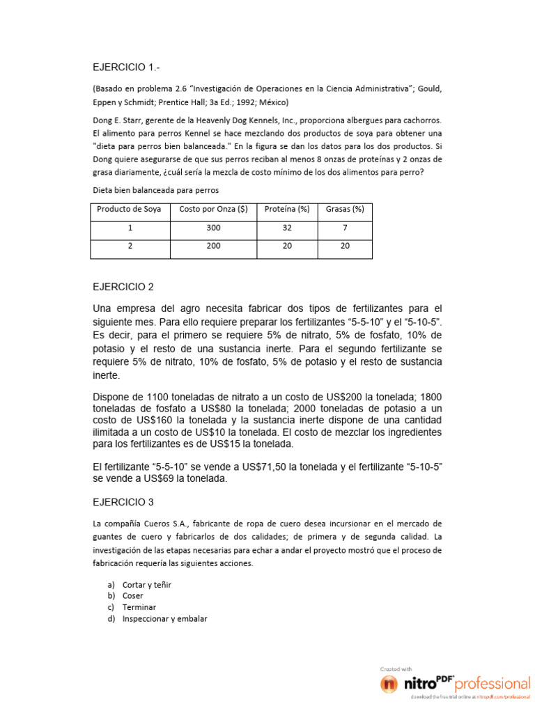 Guia de Ejercicios Curso Optimizacion U Central 537468 | PDF