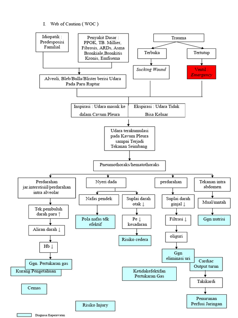 Pathway Pneumo | PDF