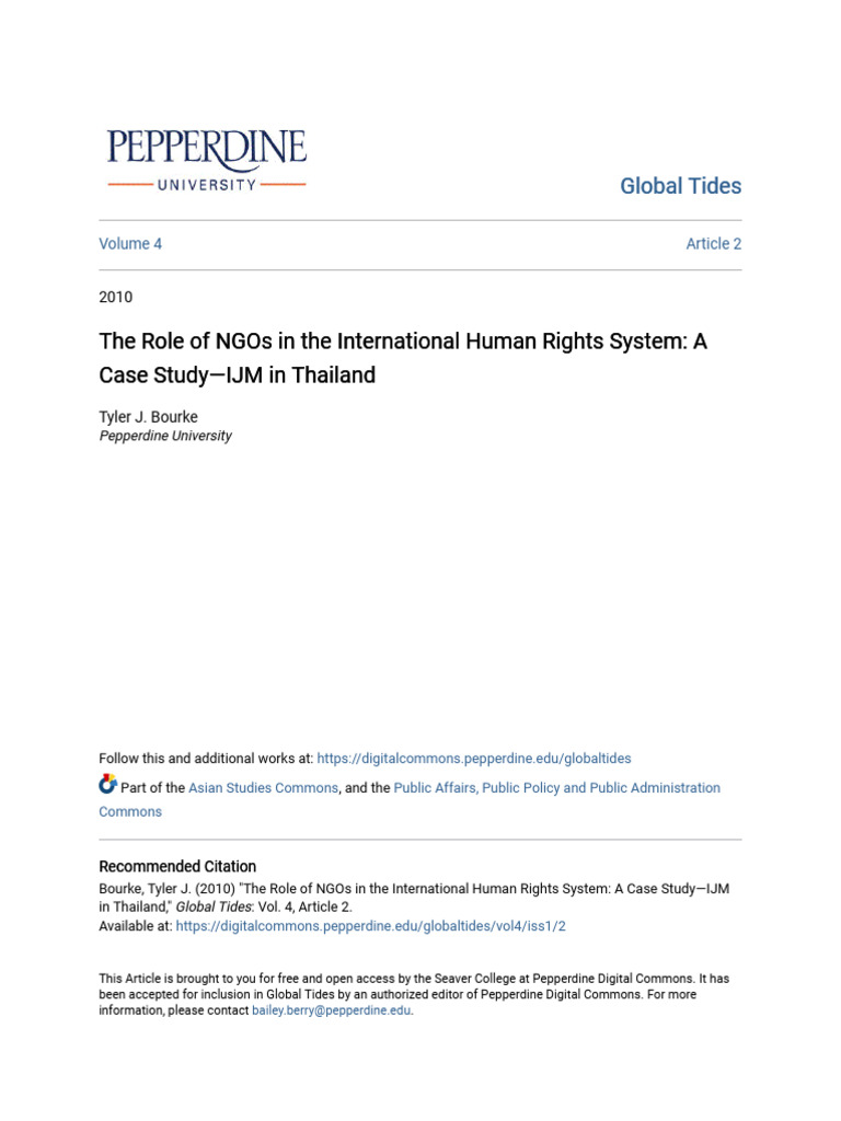The Role of NGOs in The International Human Rights System - A Case ...