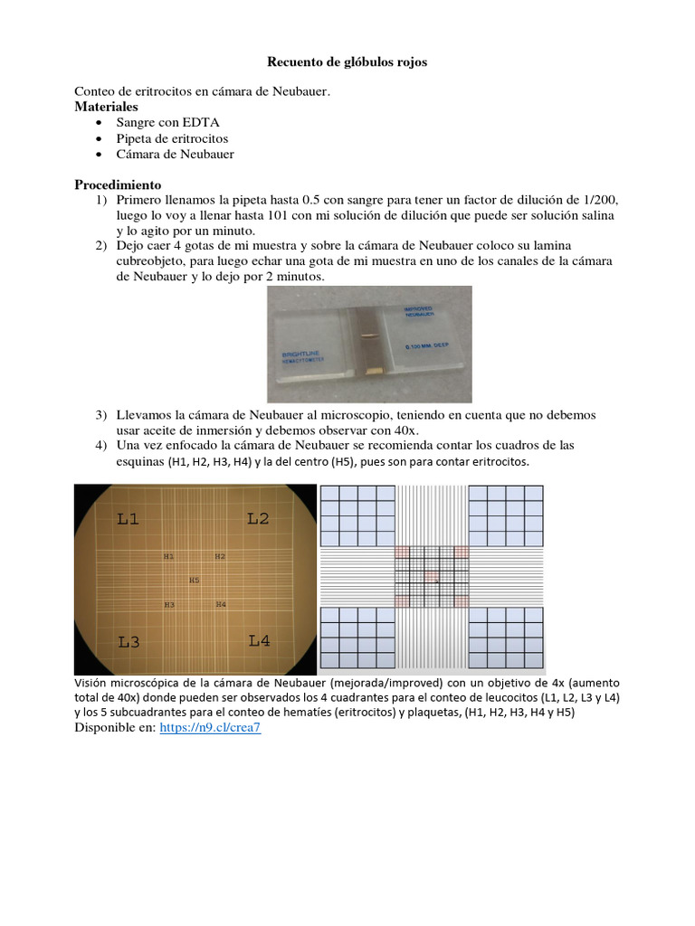 Conteo de glóbulos rojos en Neubauer | PDF | Métodos y materiales de ...
