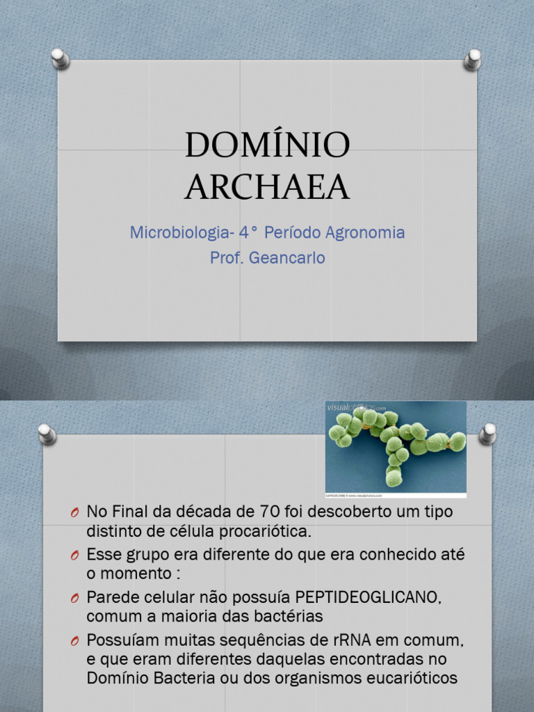 Aula DOMÍNIO ARCHAEA | PDF