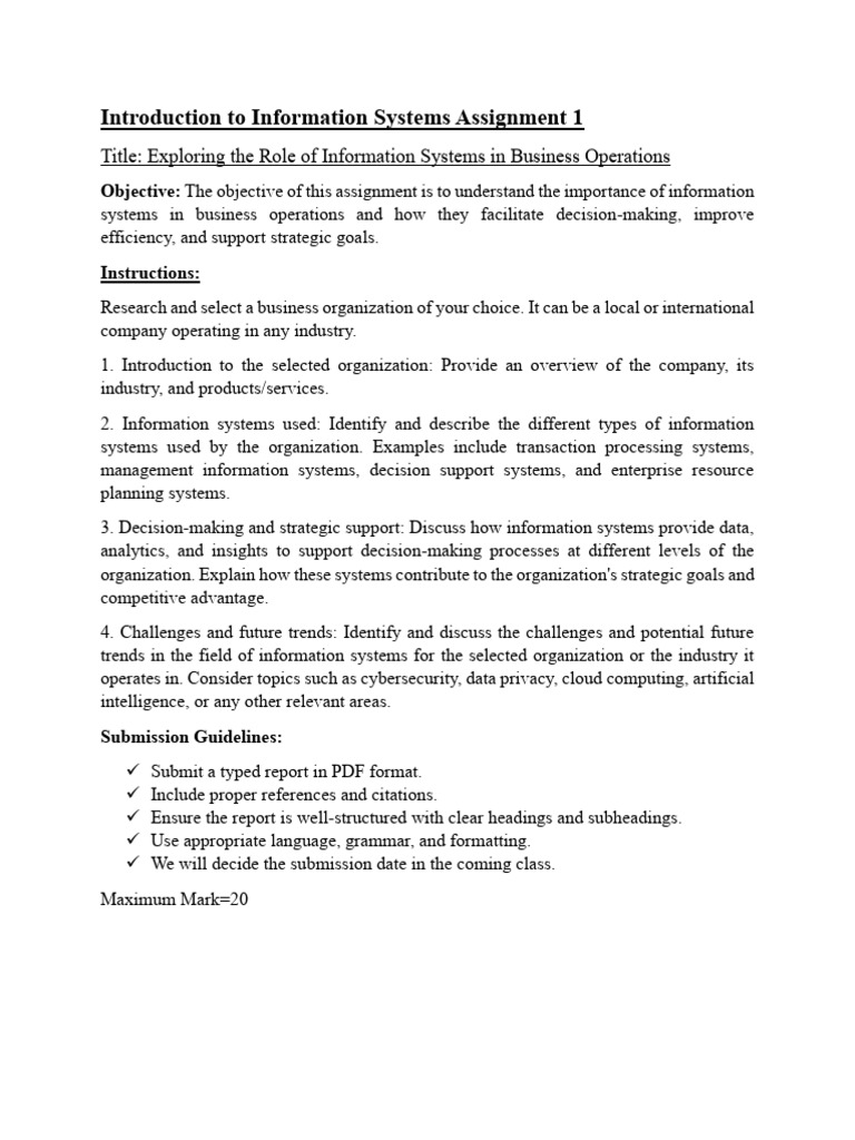 Introduction To Information Systems Assignment 1 | PDF | Computers
