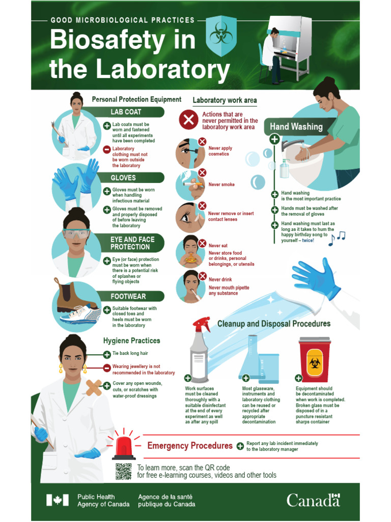 Biosafety In The Laboratory Pdf Laboratories Hygiene