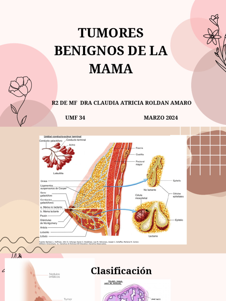 TUMORES BENIGNOS DE MAMA | PDF | Pecho | Cáncer