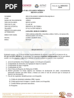 Guia de Citas MEAs AFAC | PDF | Contraseña | Internet