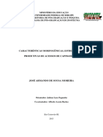 Capim-Buffel: Características e Cultivo | PDF | Brasil | Plantas
