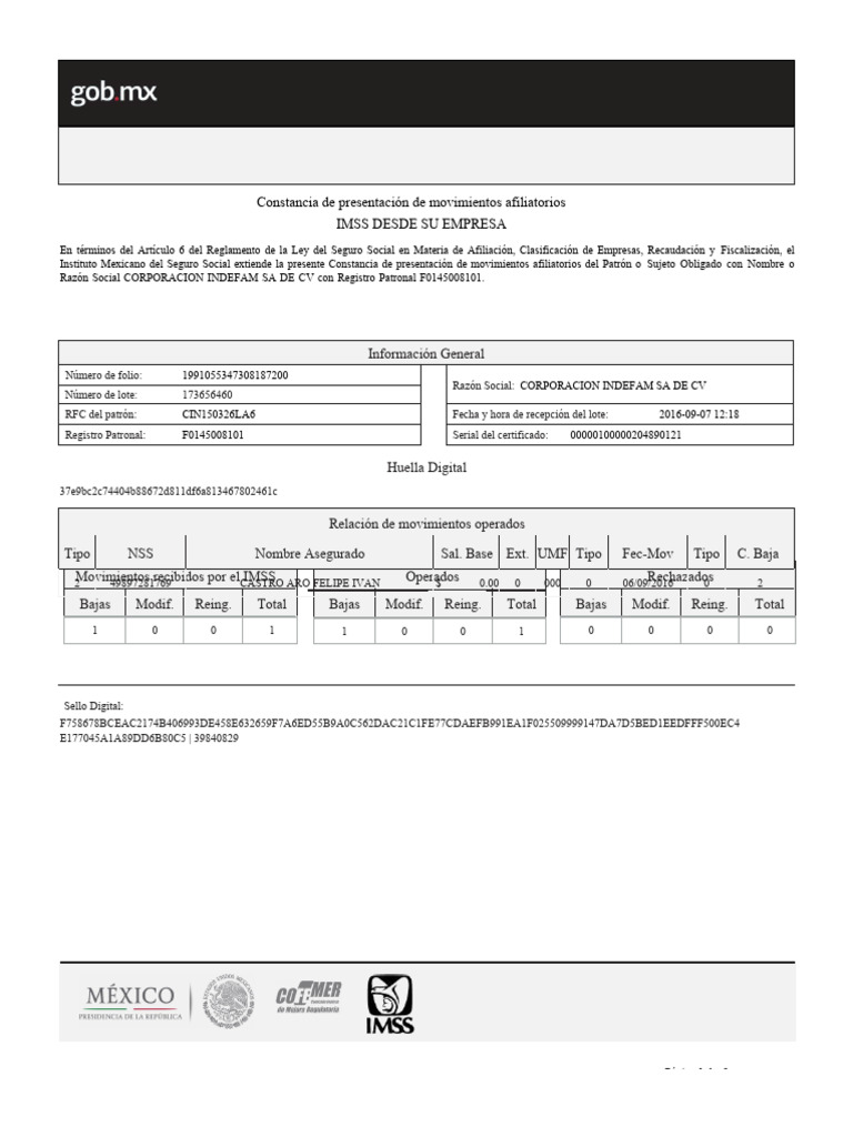 Alta Imss Ejemplo | PDF