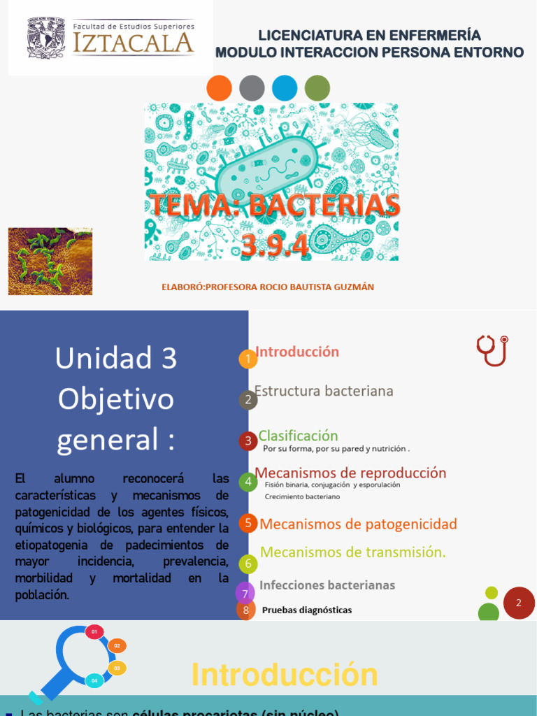 Mecanismos y Estructura de Bacterias | PDF | Las bacterias | Biología ...