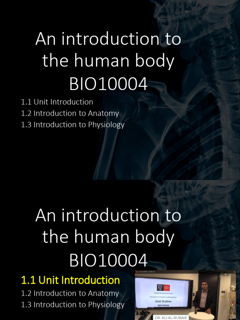 Introduction to Human Anatomy & Physiology | PDF | Homeostasis | Human Body