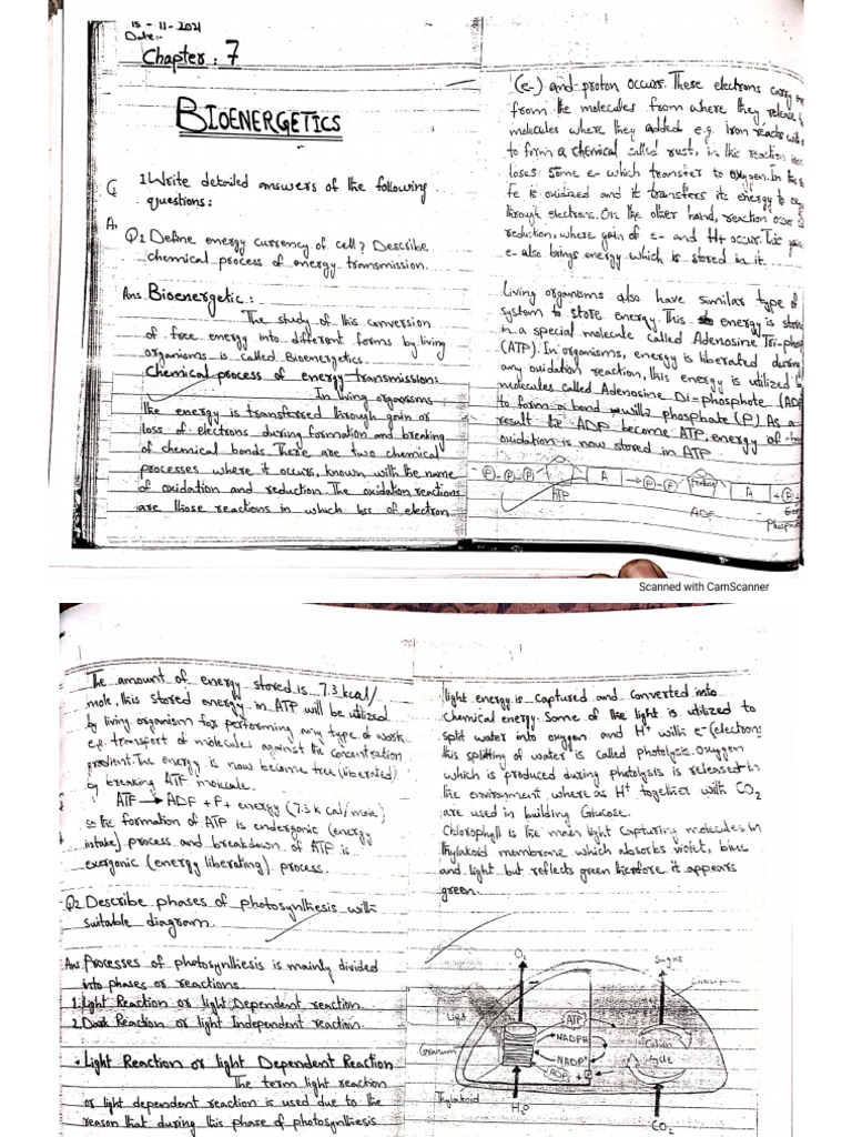 Chapter 7 Pdf