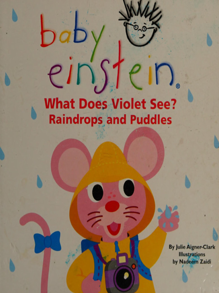 Baby Einstein What Does Violet See | PDF