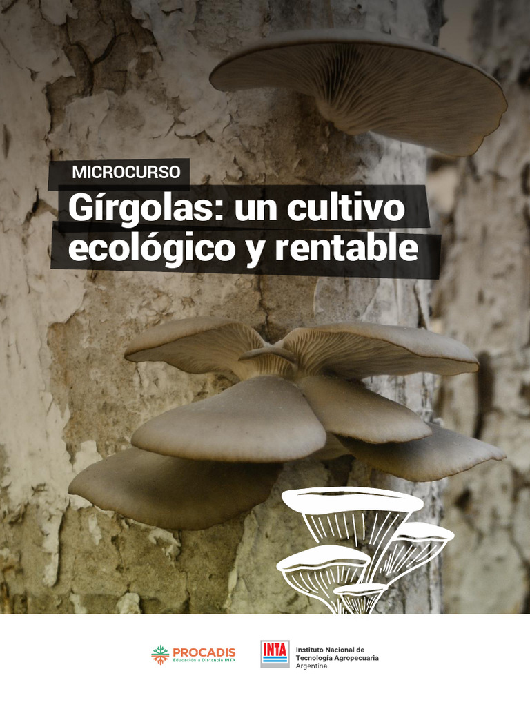 Cultivo Ecológico de Gírgolas | PDF | Hongo