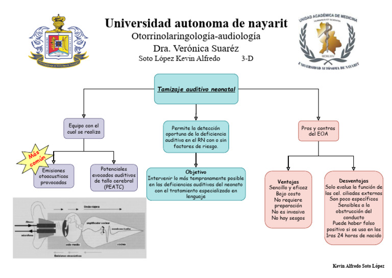 Tamizaje auditivo neonatal | PDF | Infantes | Medicina CLINICA Tamizaje auditivo neonatal | PDF | Infantes | Medicina CLINICA