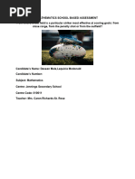 HSB Sba Workshop - Worksheet 1 | PDF | Data | Scientific Method