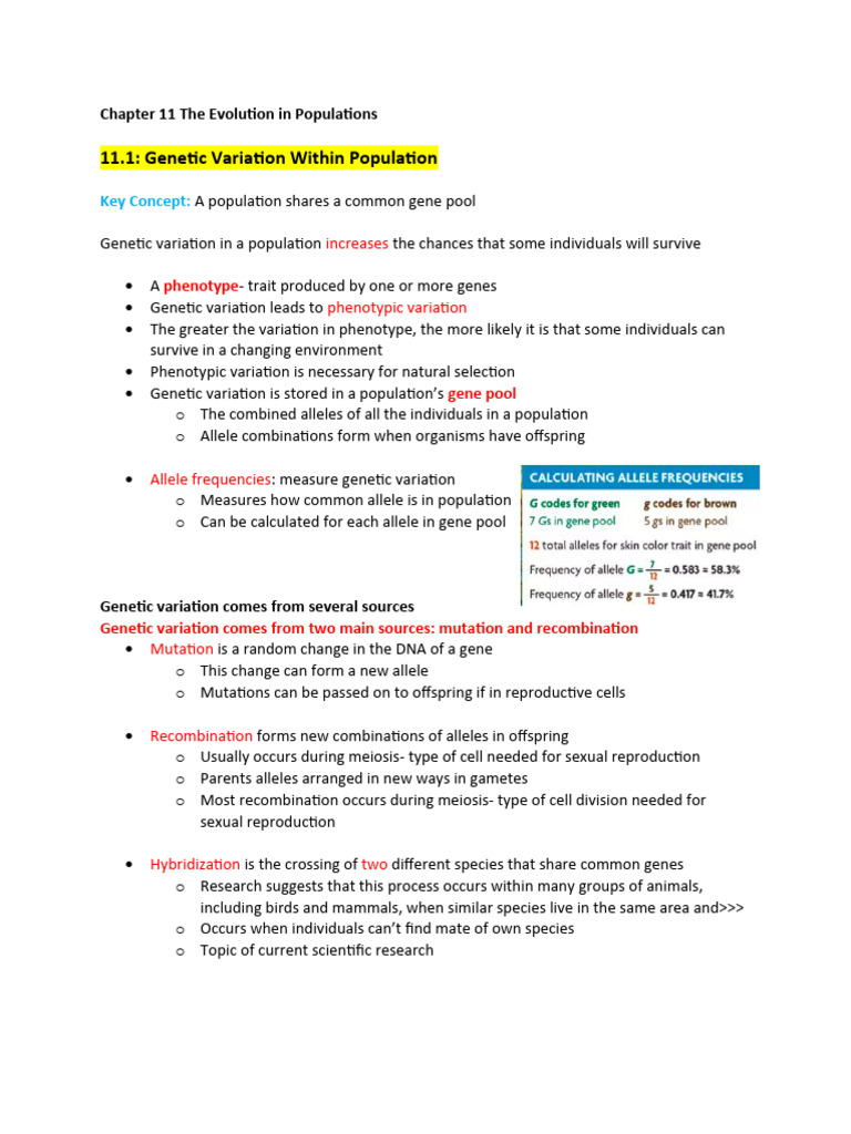 Quiz Chap. 11 | PDF | Natural Selection | Genetic Variation
