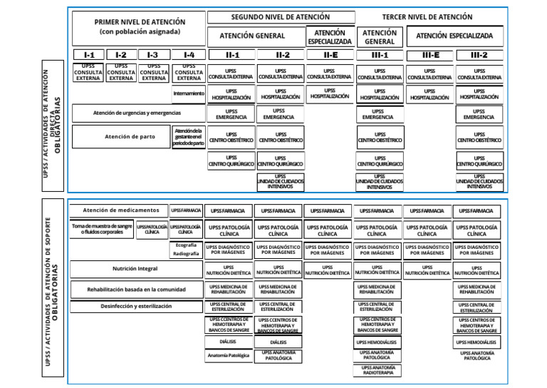 Mapa conceptual de categorias UPSS | PDF | Farmacia | Medicina CLINICA
