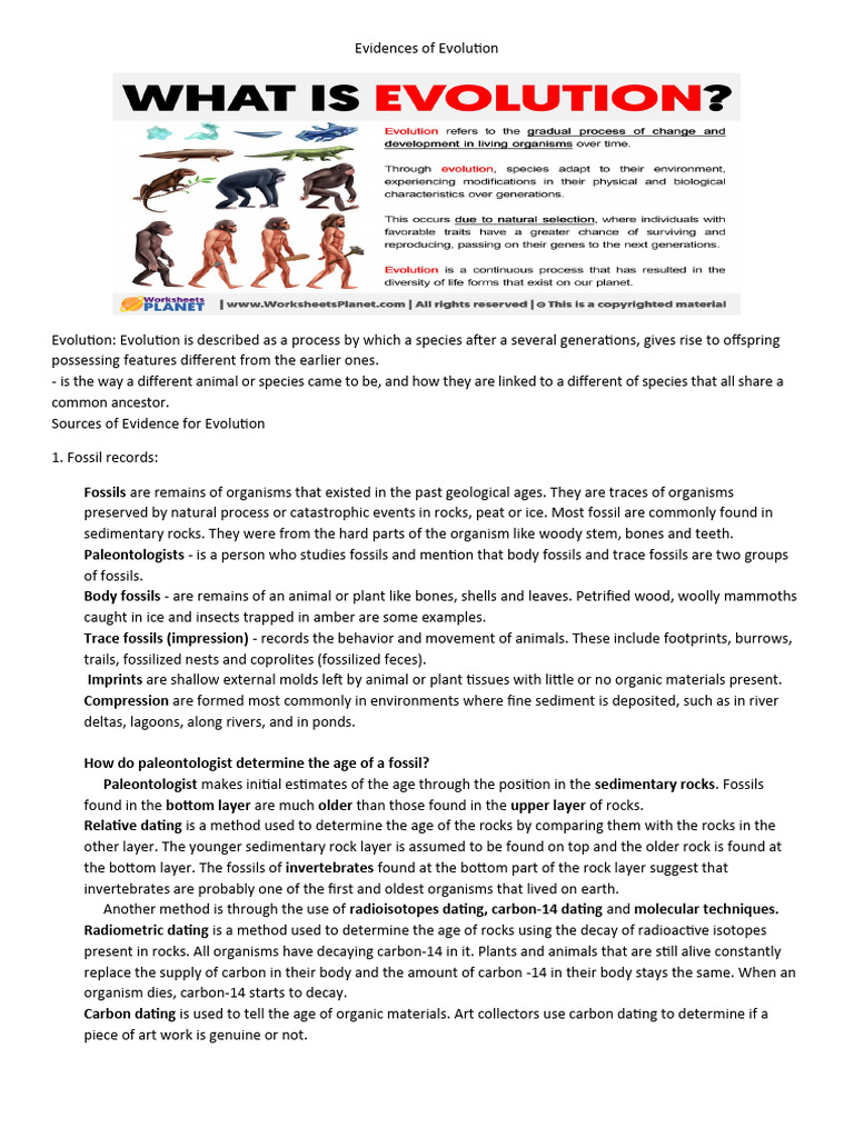 M5 Evolution | PDF | Fossil | Homology (Biology)